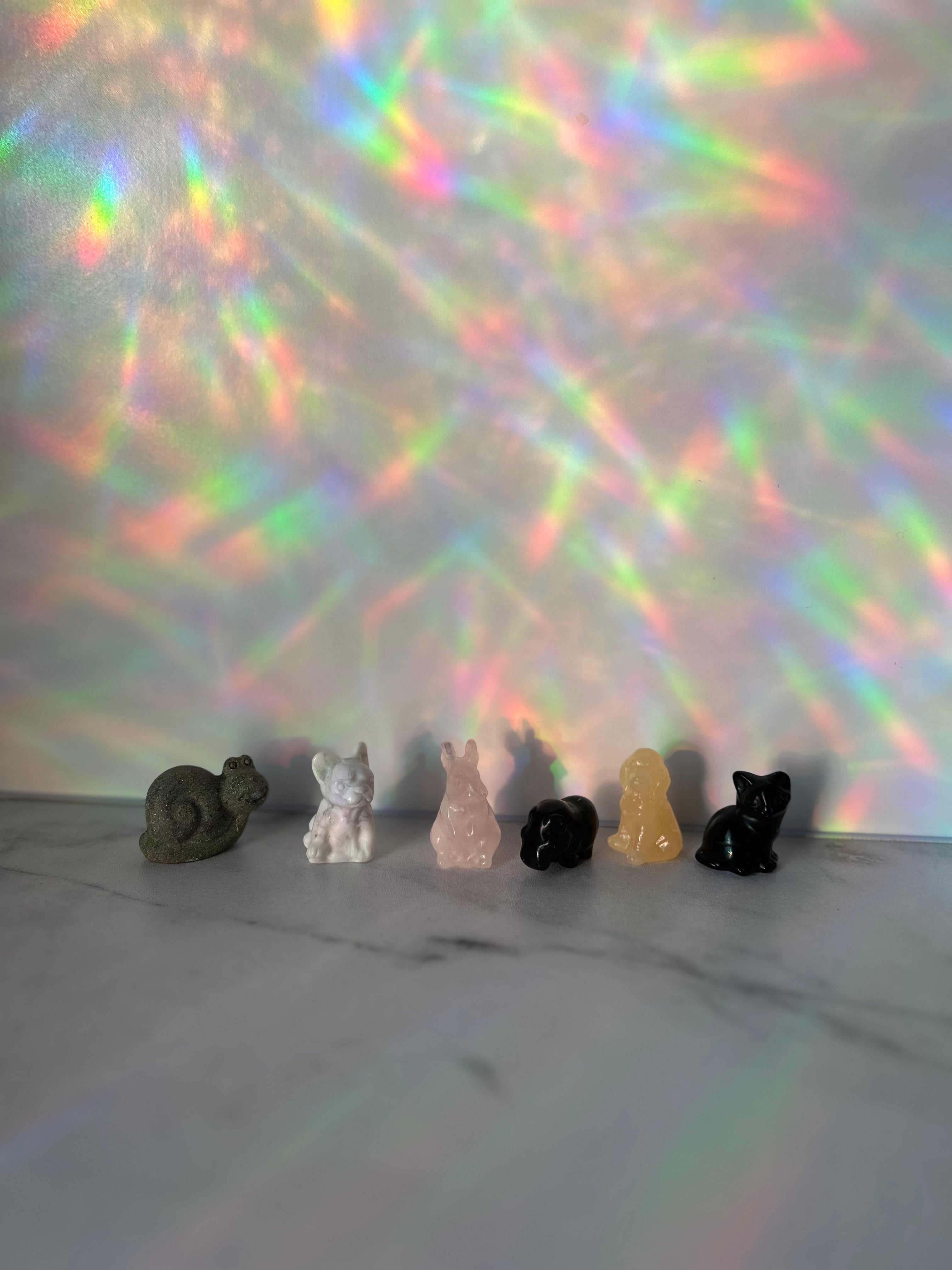 Pocket Pets – Next to Nature Home and Pet co